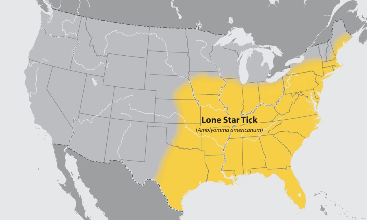Lone star ticks - Alpha-gal Information