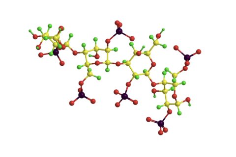 Personal Care Products - Alpha-gal Information