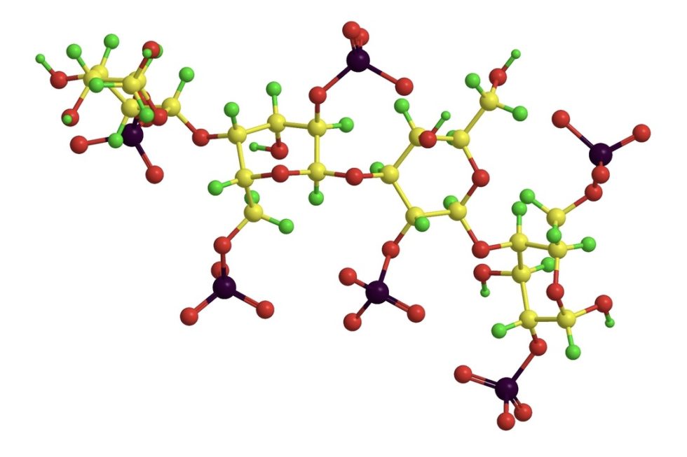 Alpha-gal Syndrome | AGI - Alpha-gal Information