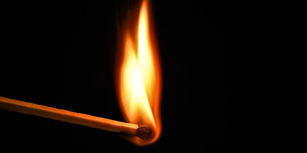 What to Do If You Are Bitten by a Tick - Alpha-gal Information