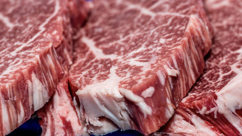 Trace Amounts of Alpha-gal in Food - Alpha-gal Information