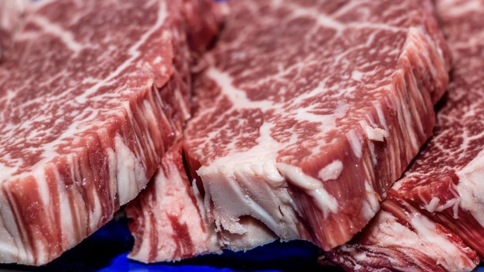 Alpha-gal Syndrome | AGI - Alpha-gal Information