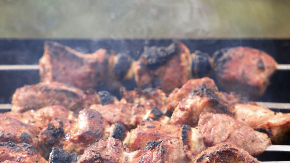 A Checklist for the Newly Diagnosed - Alpha-gal Information