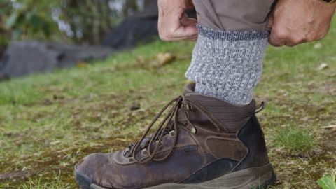 Alpha-gal Information - Alpha-gal Information