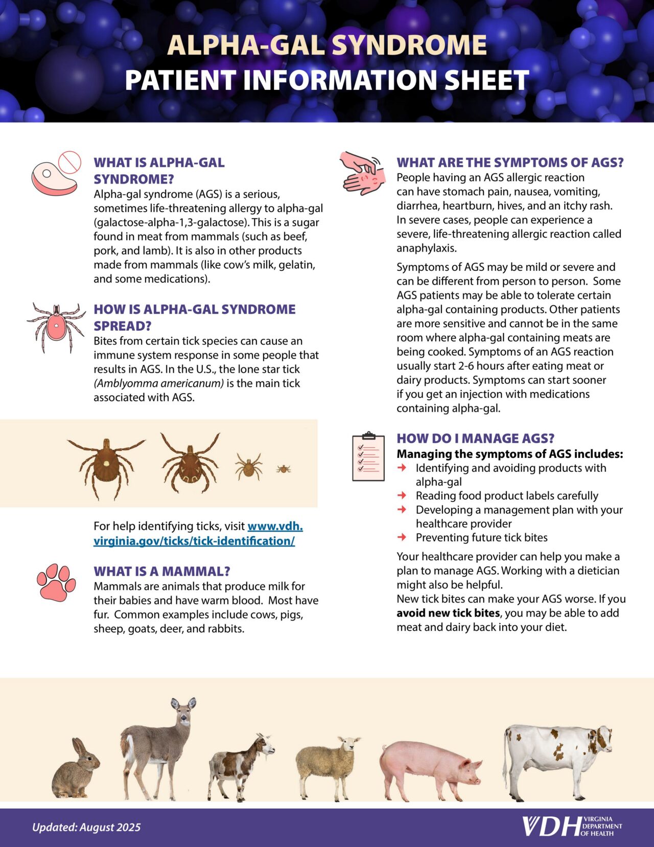 Downloadable AGS Patient Handouts - Alpha-gal Information